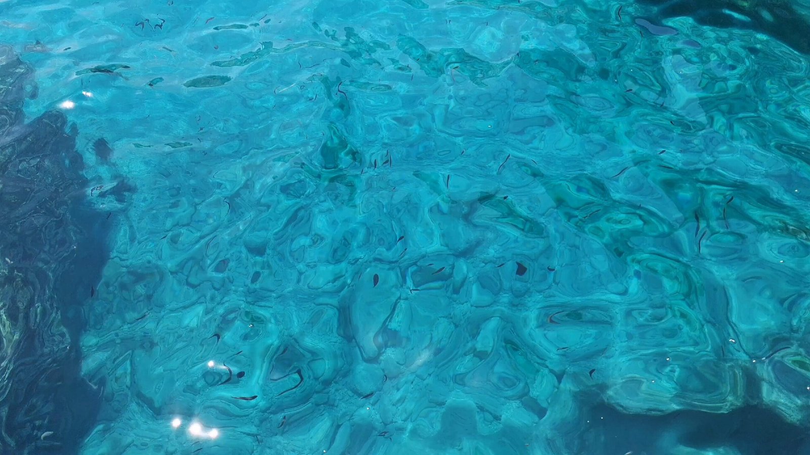 First Class Pools – Swimming Pool Service